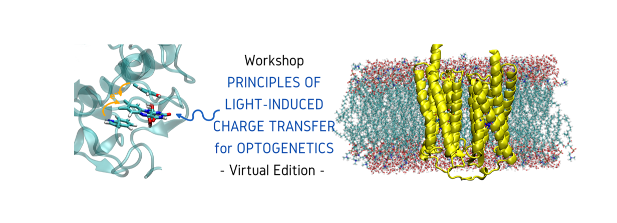 PRINCIPLES OF LIGHT-INDUCED CHARGE TRANSFER FOR OPTOGENETICS | Psi-k